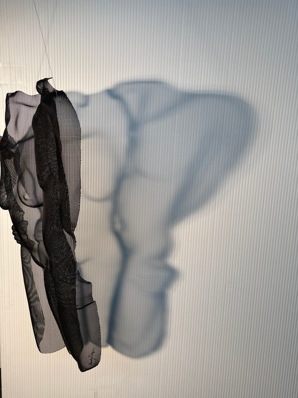 Randy Cooper "Ich Liebe Dich" Original Mesh Shadow Sculpture - Design ...